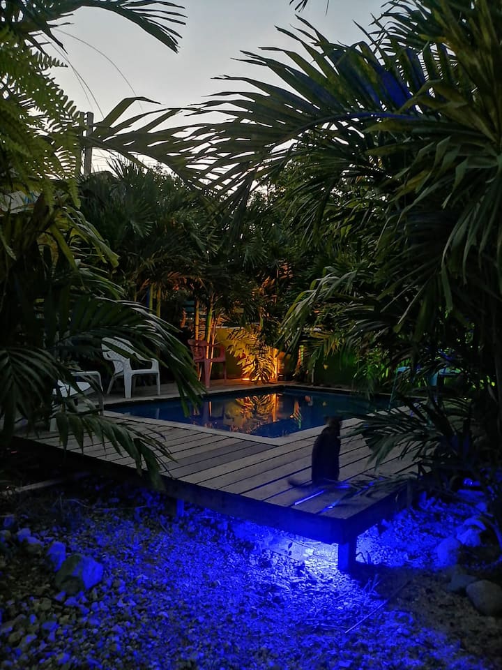 Cabaña Privada Antosoja En Palomino! - La Guajira