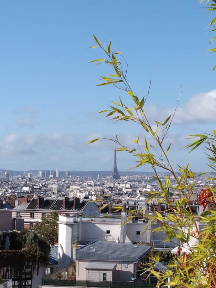 Vue Exceptionnelle Sur Tout Paris! - Paris