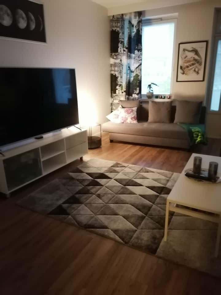 Siisti Kaksio Keskustassa Ratikkareitin Varrella - Tampere