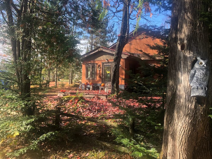 Le Camp De Base / Rendez-vous Dehors! - Shawinigan