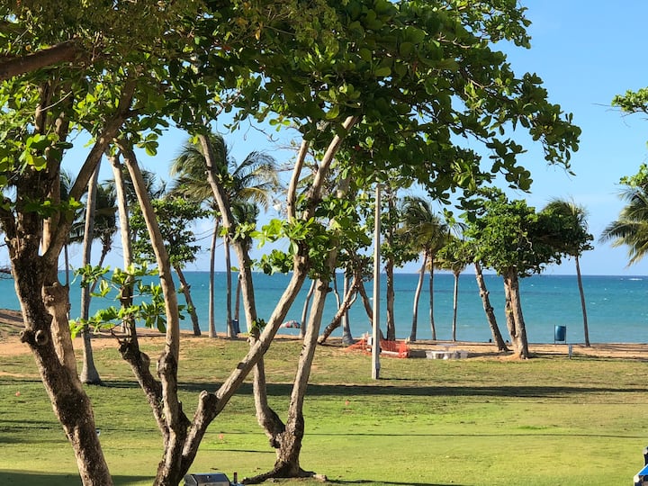 Lovely 3 Bedroom Beach Apt - Ocean Views!!! - Puerto Rico