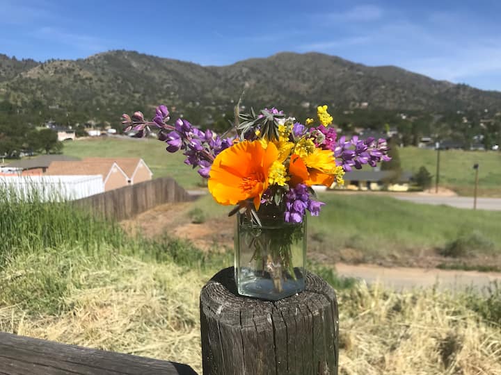 Stunning Views & Great Location - Tehachapi, CA