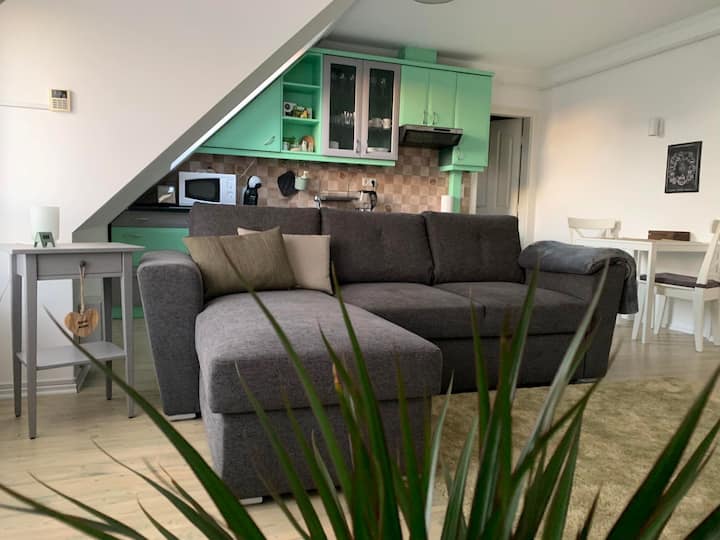 Hangulatos Társasházi Apartman Pécs Belvárosában - Pécs