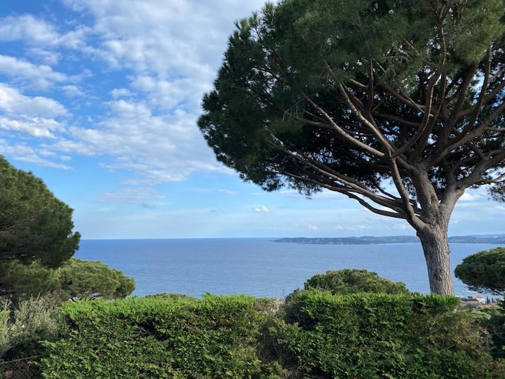 Villa  Vue Exceptionnelle Sur Mer Et Sur St Tropez - Sainte-Maxime
