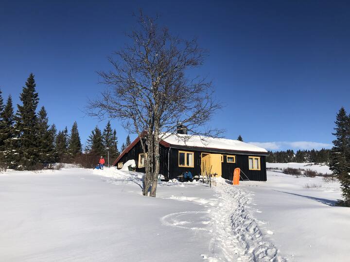 Old cabin on Nordseter! - Cabins for Rent in Lillehammer, Innlandet ...