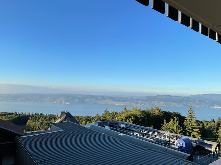 Appartement Vue Panoramique Lac Leman - Lugrin
