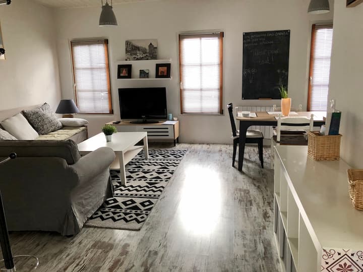 Charmant T2 Bis 45m² Classé 3* 50m Thermes - Bagnères-de-Bigorre