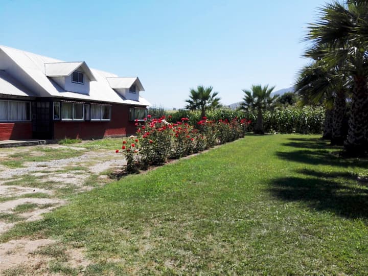 Agradable Parcela De Campo Con Piscina - Melipilla