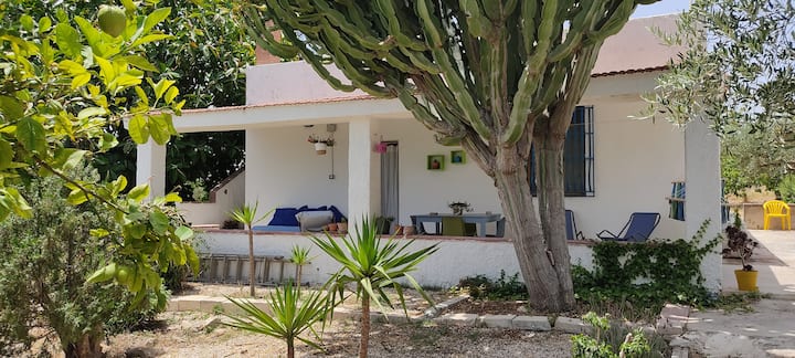 Casa Rosa - San Lorenzo