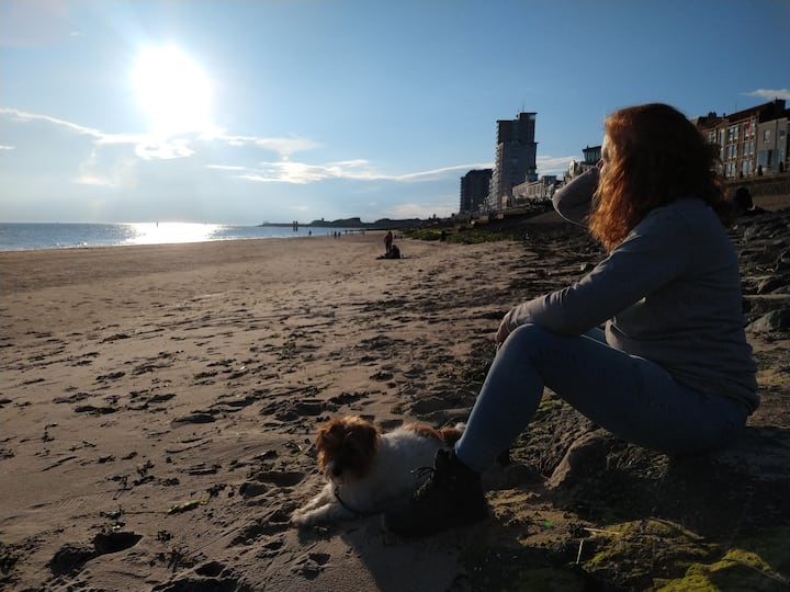 Fijn Huis Aan Zee, Penthouse + Gratis Parkeerplek - Vlissingen