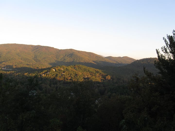 Williebear Cabin - Clayton, GA
