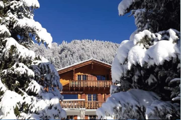 Centrally Located, Stylish Chalet With Great Views - Gryon