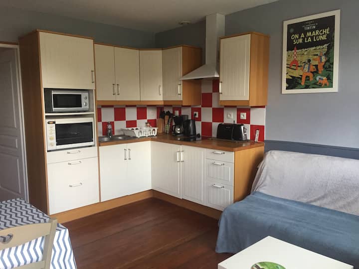 7- Charmant Logement Tout Confort Avec Terrasse - Saint-Amand-les-Eaux