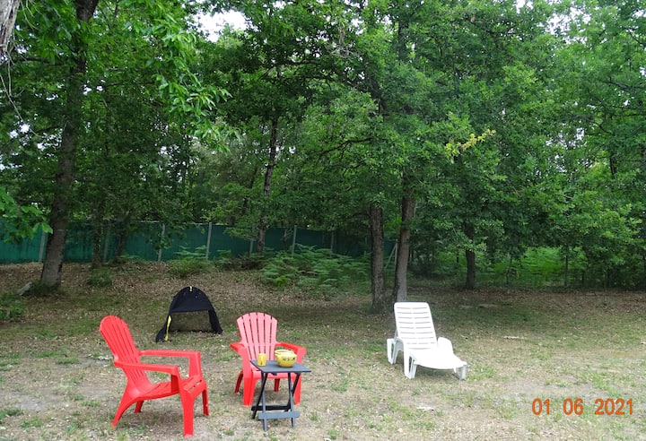 Petite Maison à L'ombre Des Arbres Et, Au Calme. - La Tremblade
