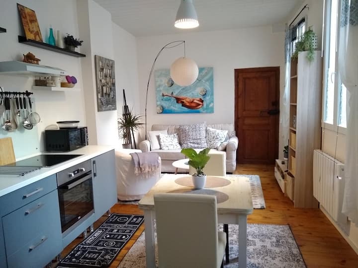 Charmant T2 42m² Classé 3* 50m Thermes - Bagnères-de-Bigorre