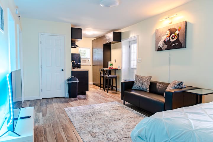 Safe & Cozy 1 Br By Midtown Atl - Atlanta, GA