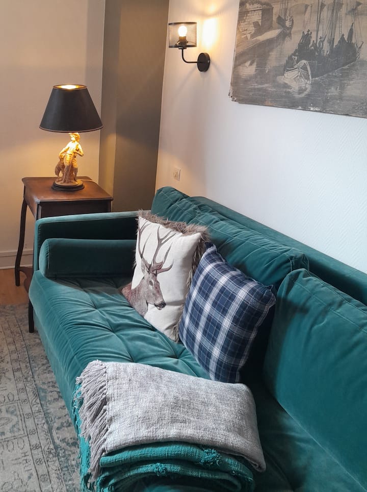 Charmant Logement Au Centre-ville De Bergheim - Kintzheim
