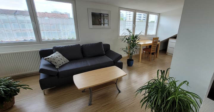 Traumhafte Dach-studio Wohnung/ Business-apartment - Singen