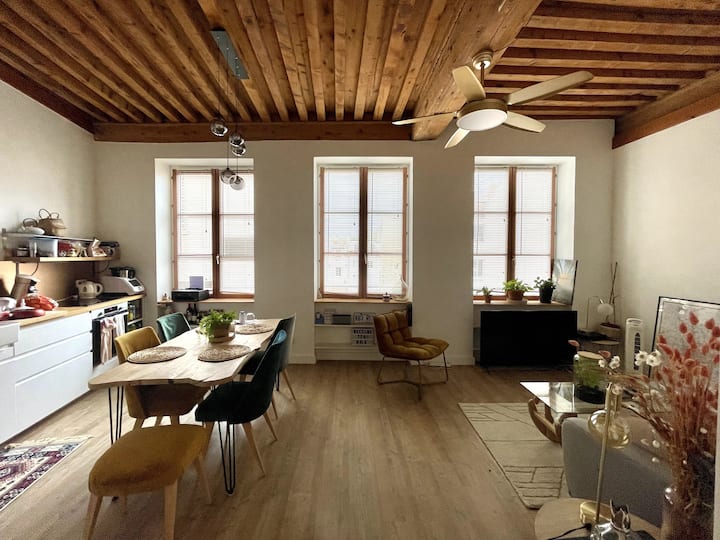 Bel Appartement Dans Lyon - Lyon