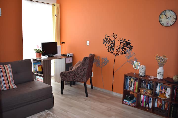 Cozy & Fully Equipped Apt. - Ideal For Long Stays - Mexico City