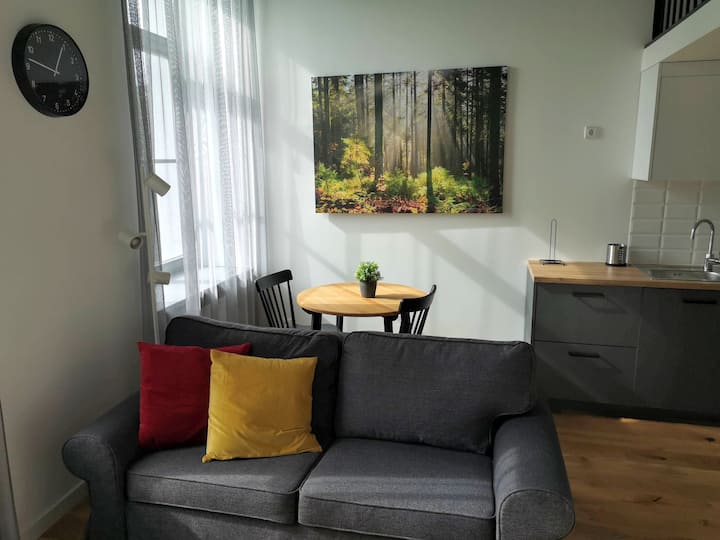 Lovely New 1-bedroom Loft In Kaunas Center - Kaunas
