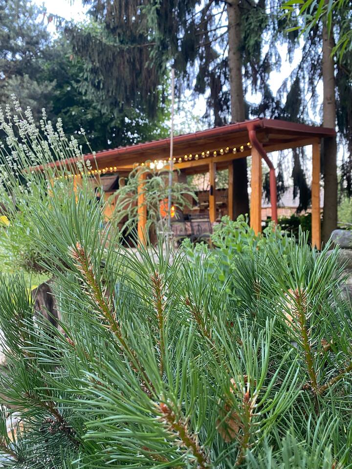 Lovely Cottage In A Magic Land - Satu Mare
