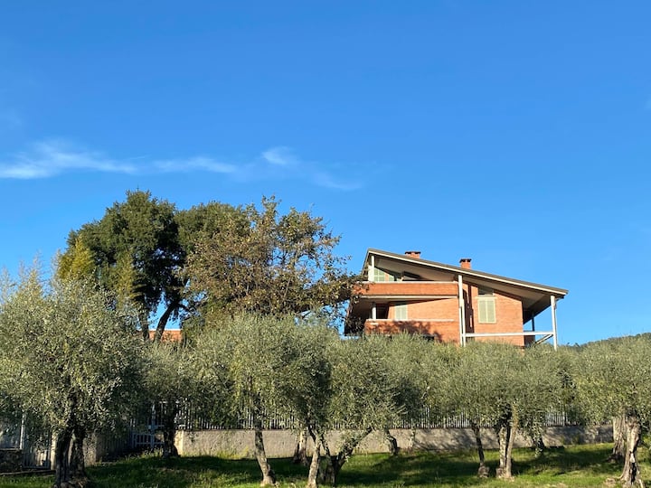 Villa Colleviti 10/14p - Design Tuscany Villa - Toscane