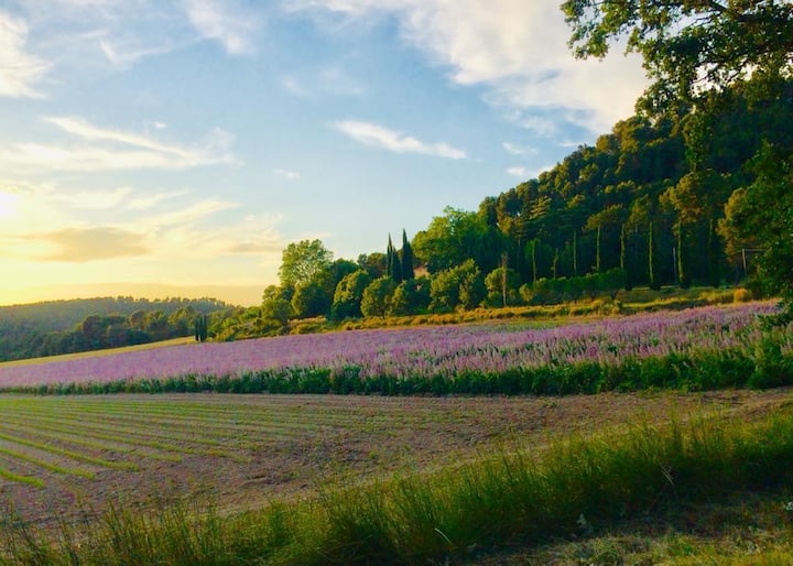 Maison Au Charme Bohème Dans Un Cadre Exceptionnel - Venelles