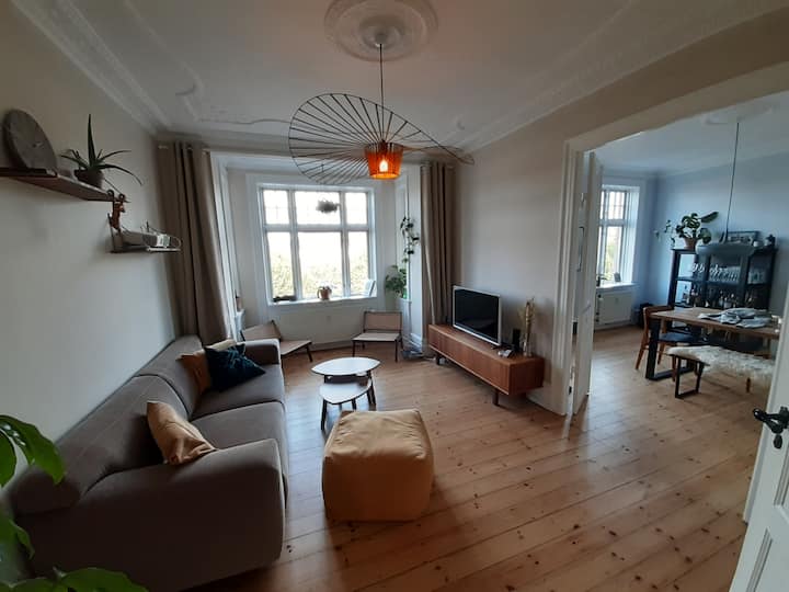 Cosy 3 Rooms Apartment In The Heart Of Copenhagen - Copenhaguen