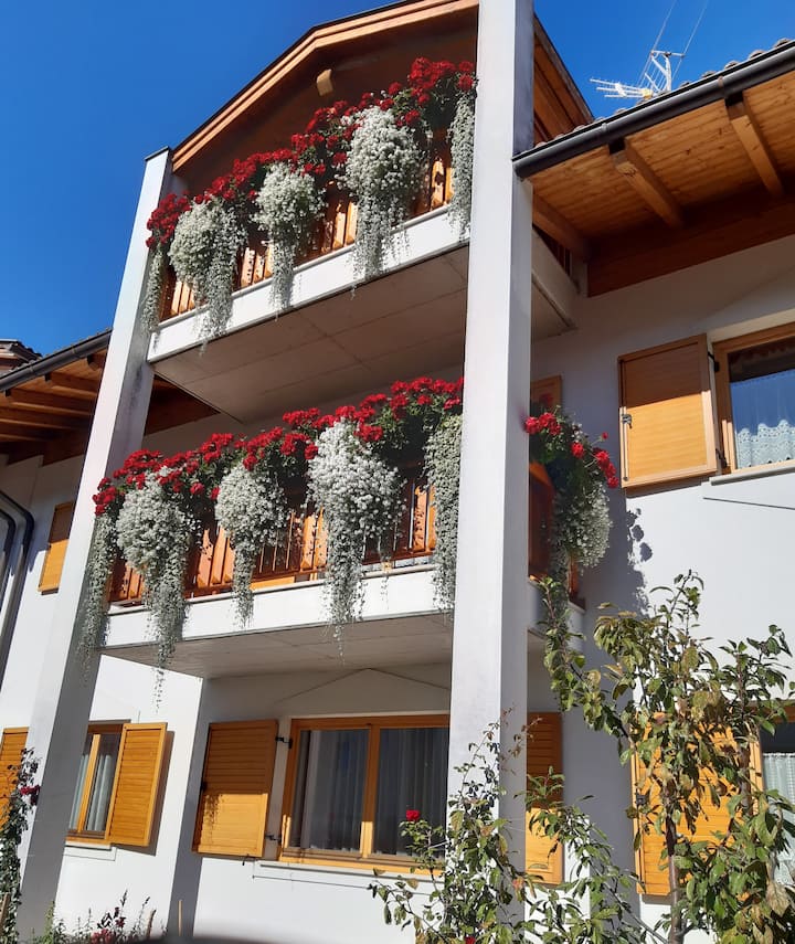 Urlaub In Den Bergen - Monguelfo-Tesido