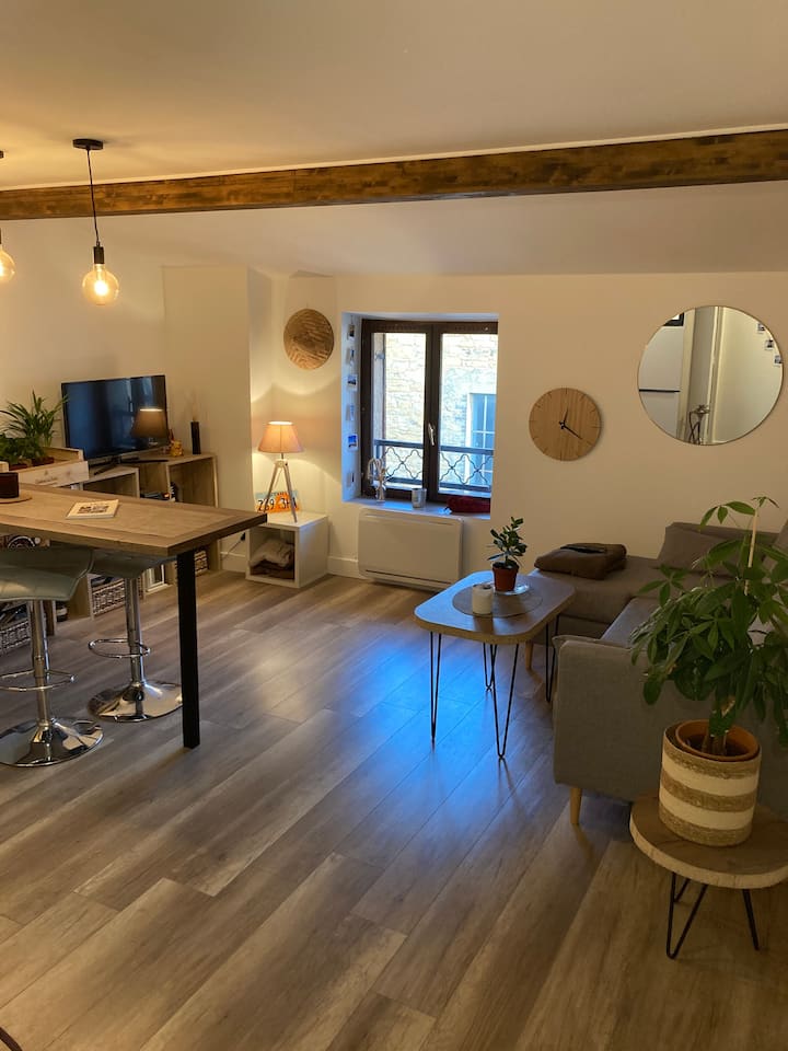 Appartement Cosy Et Calme, En Plein Centre ! ✨🌿 - Villefranche-sur-Saône