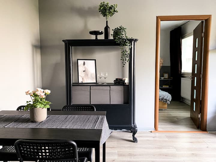 Cool Vibes | Cozy, 4 Guests | 7 Min To Palas - Iași