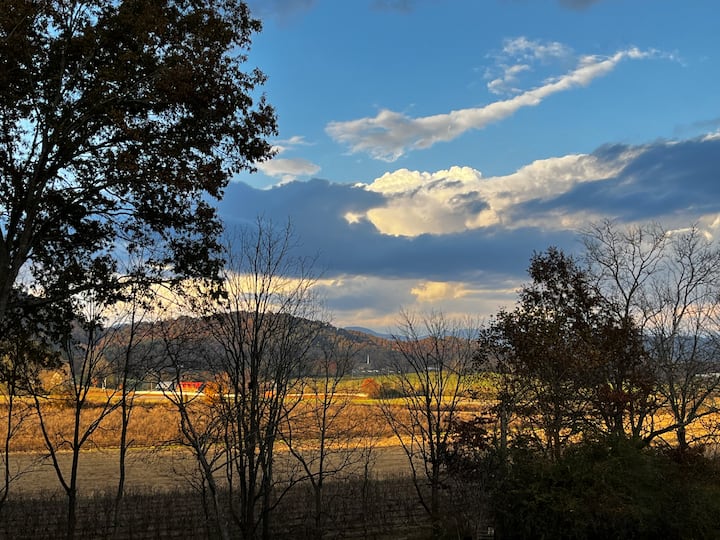 New Tiny Retreat: 
Modern Comfort & Mountain Charm - Franklin, NC