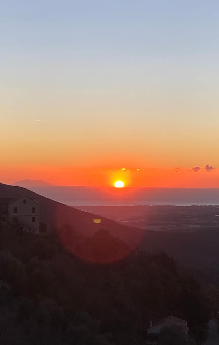 Studio Vignale - Corsica