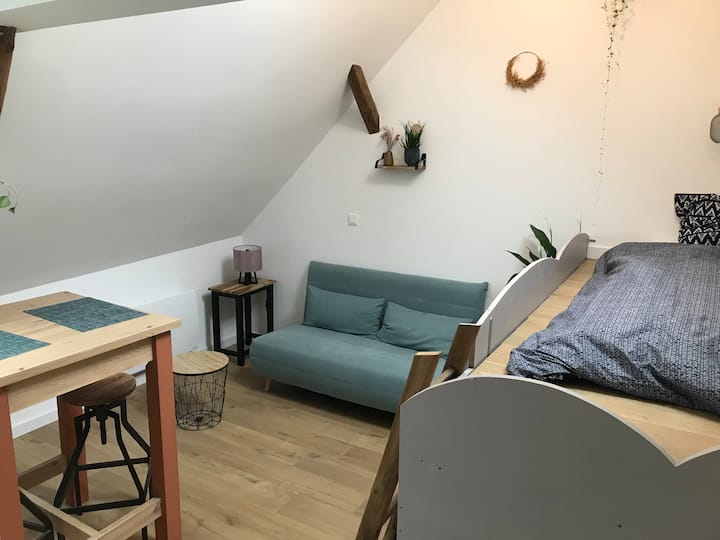 Studio Tout Neuf à Proximité Du Centre Historique - Strasbourg