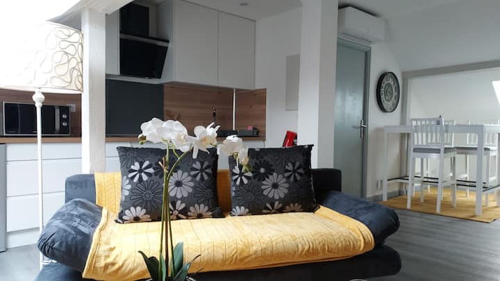 Bnb Hearten, Climatise, Wifi - Sausheim