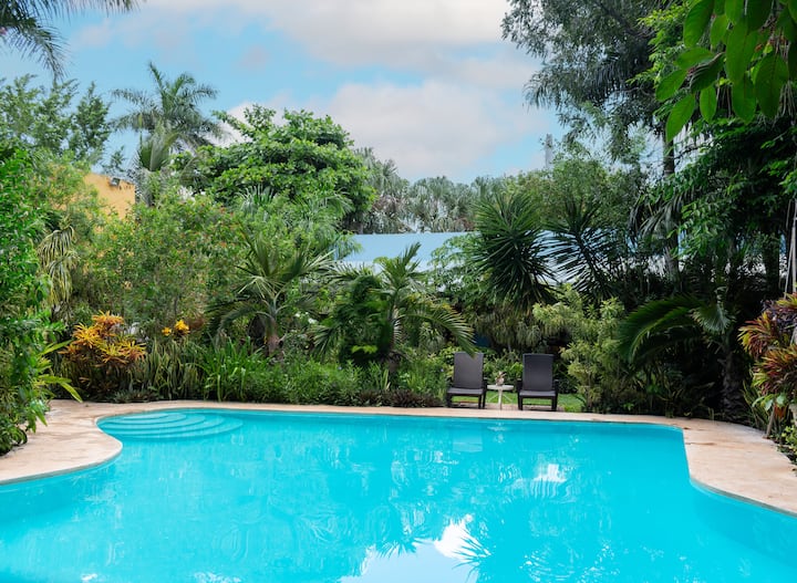 Casa Lobo Y Gaviota - Merida