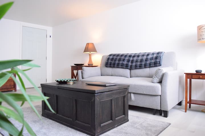 Bright 1-br Bsmt Apartment Near Hospital/downtown - Cape Breton Island