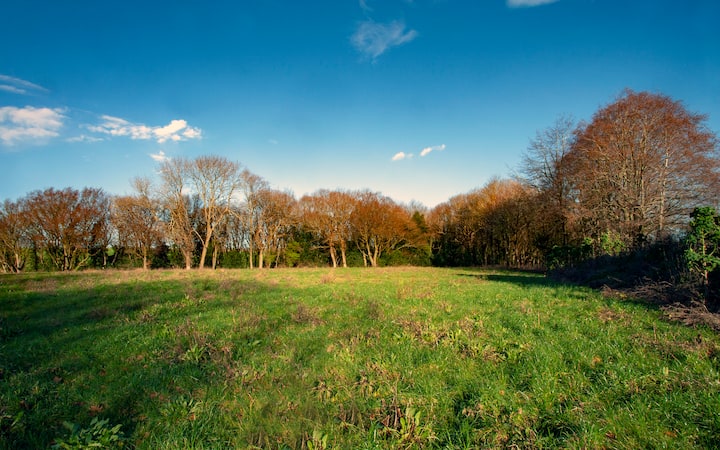 Elizabethan Farmhouse With Private Woods & Hot Tub - Dover