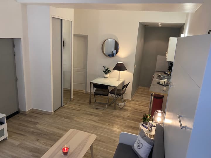 Studio Meublé Place Sathonay - ibis Lyon Gare Part Dieu