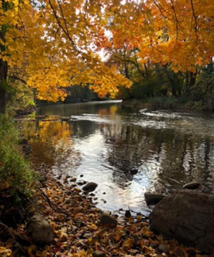Cedar Creek Wilderness Retreat - Cedarburg, WI