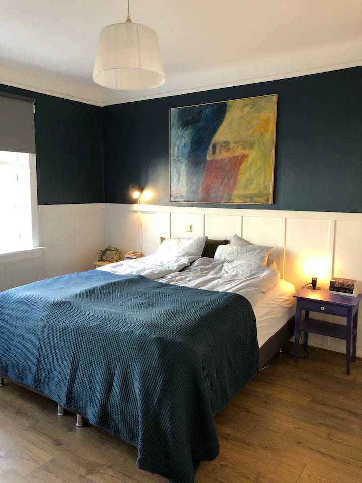 Cosy Downtown Family Apartment In Reykjavík - Reykjavík