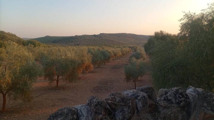 Tranquila Casa Rural En Un Entorno Privilegiado - Puente Genil