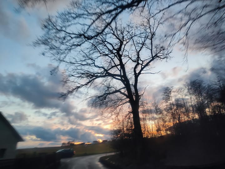 Familiäre Unterkunft - Wels
