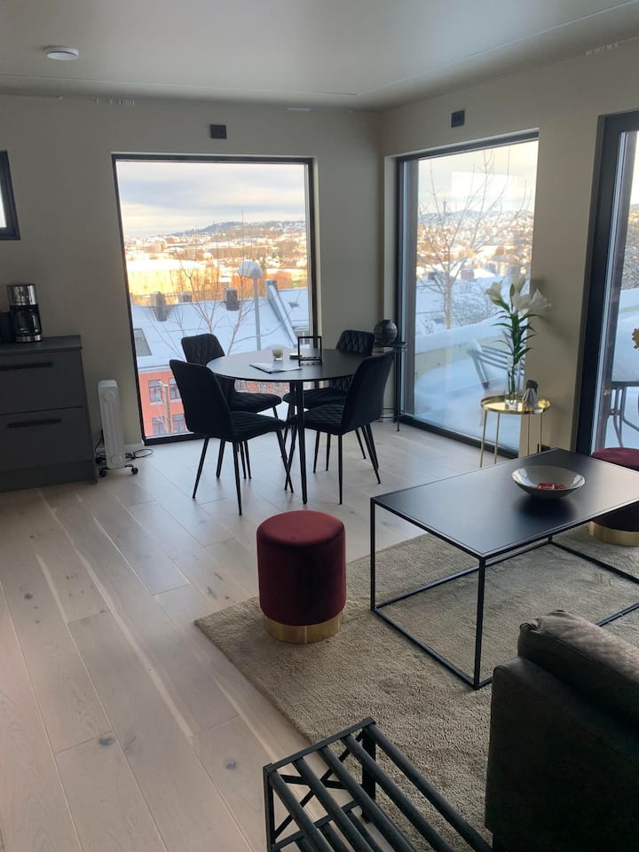Sentral Bolig - Trondheim