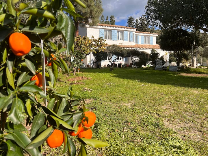 Villa Silmar - Seaview Apartment, With Garden, Close To Beach - Quartu Sant'Elena