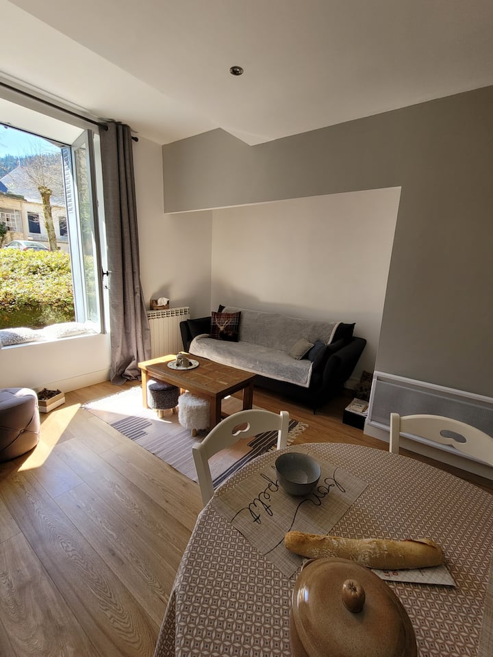 Le P'tit Cerf
Appartement Tout Neuf - La Bourboule
