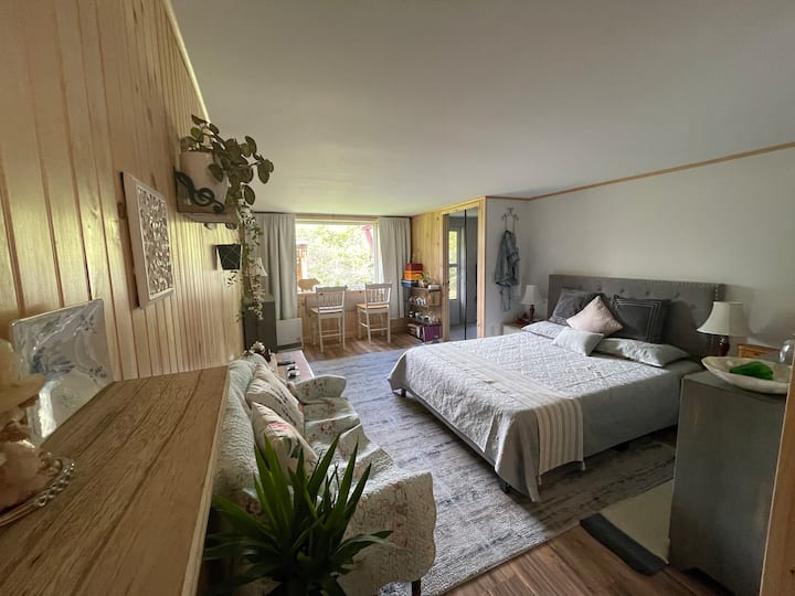 Charming One Bedroom Studio - Waterbury, VT