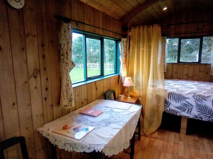 Lower Haven Farm Shepherds Hut - Frome