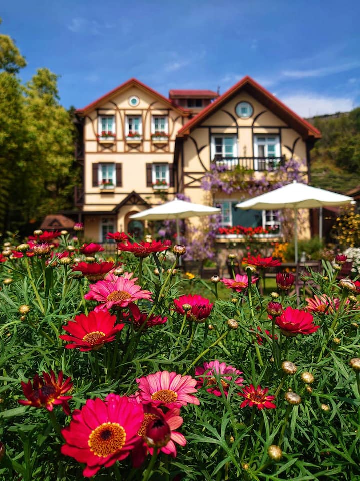 阿里山【四季星空】3人房/山景/2張床 - Alishan Township